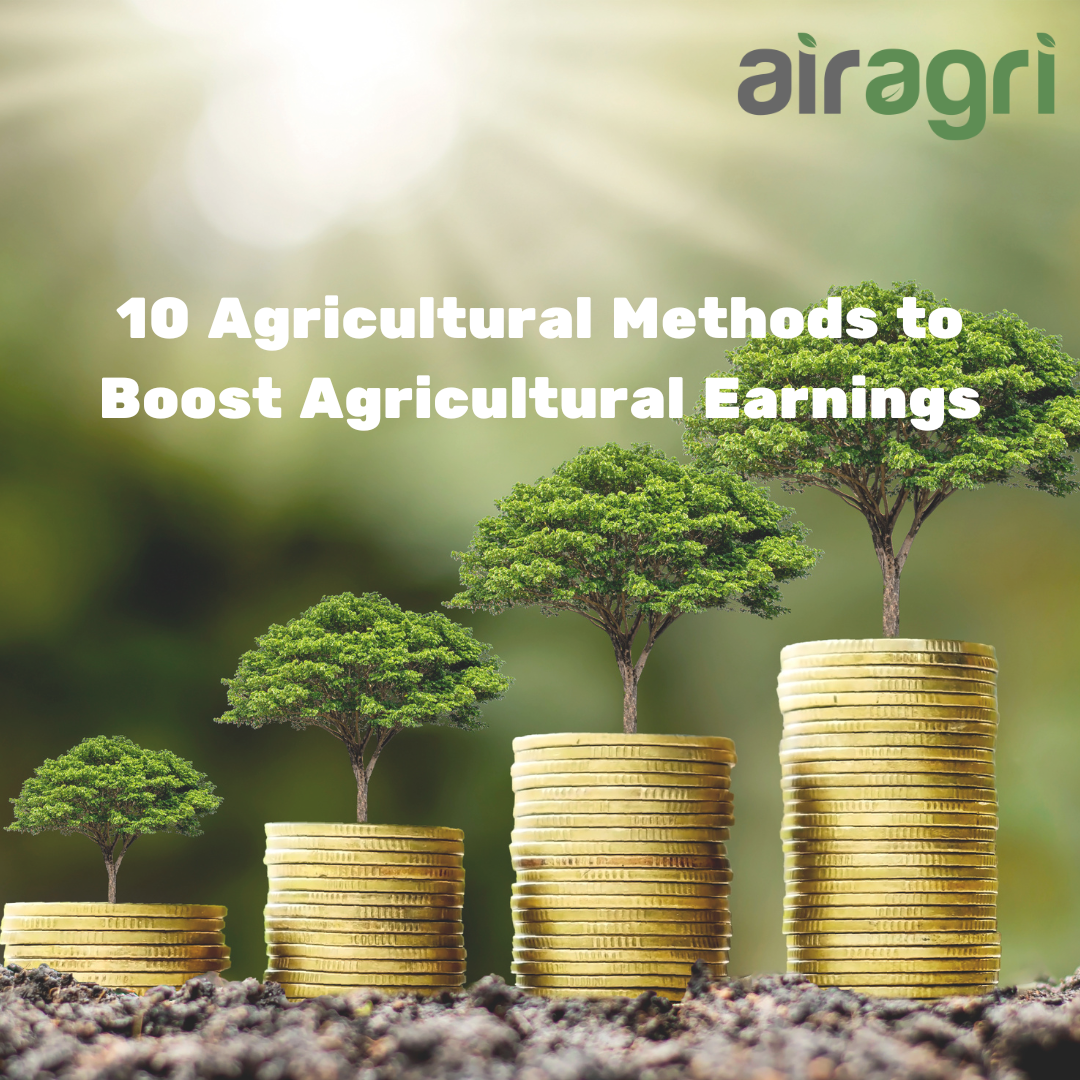 10 Agricultural Methods to Boost Agricultural Earnings